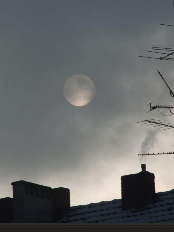 Programmes de la nuit - Streaming, replay - Diffusion TV et plateformes