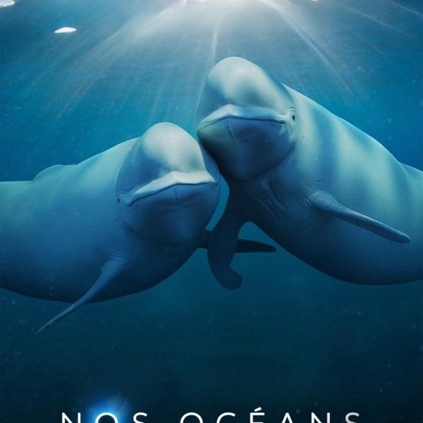 Nos océans (2024) - Streaming, replay - Diffusion TV et plateformes