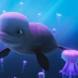 Katak, le brave béluga (2023) - Streaming, replay - Diffusion TV et plateformes