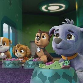Paw Patrol, la Pat'Patrouille S11 E4 (2024) - Streaming, replay ...
