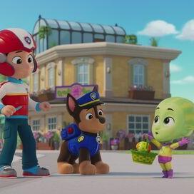 Paw Patrol, la Pat'Patrouille S11 E20 (2024) - Streaming, replay ...