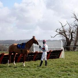 Jackass: Volume Two (2004) - Streaming, replay - Diffusion TV et ...